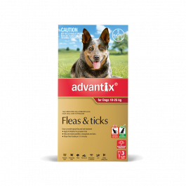 Advantix | Vet Products Direct Australia