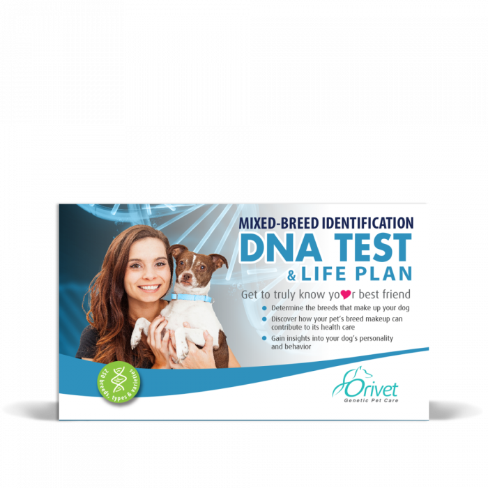 Orivet Mixed Breed Identification DNA Test Kit & Lifeplan | Vet ...