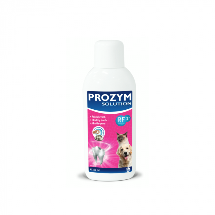 Prozym Dental RF2 Solution 250ml | Vet Products Direct Australia