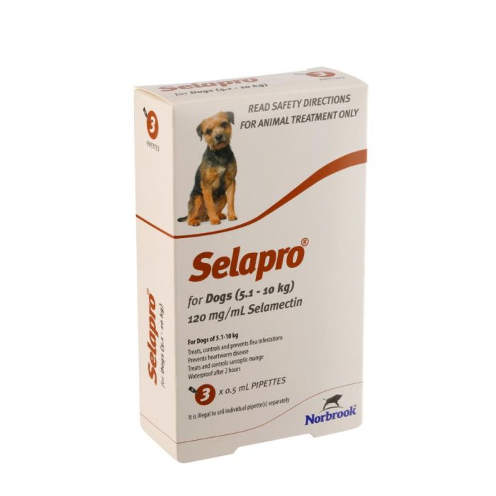 Selapro Dog Small 5-10kg Tan VetProductsDirect