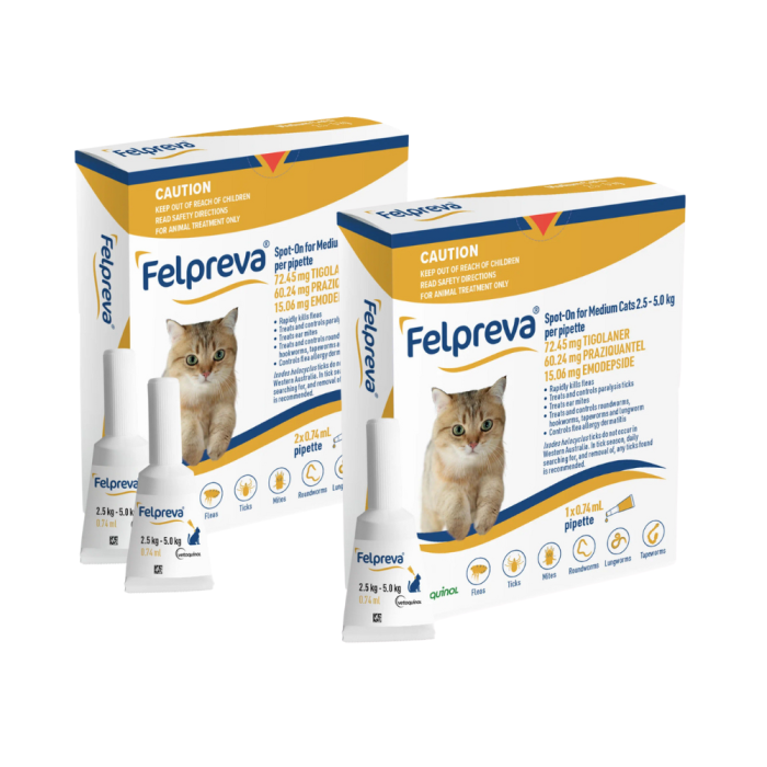 Felpreva Spot On Cat Medium 2.5-5kg Yellow VetProductsDirect | Vet Products Direct Australia