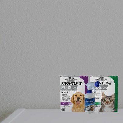 Specials | Vet Products Direct Australia