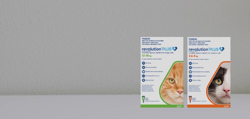 Specials | Vet Products Direct Australia