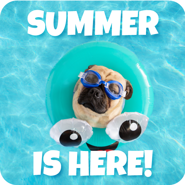 Vet Supplies Online | Vet Products Direct Australia