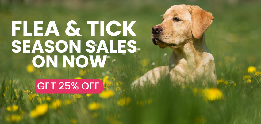 Vet Supplies Online | Vet Products Direct Australia