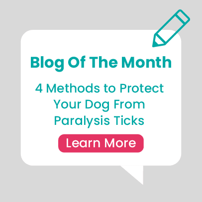 Vet Supplies Online | Vet Products Direct Australia