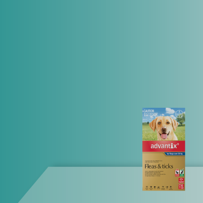 Vet Supplies Online | Vet Products Direct Australia