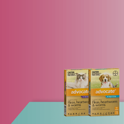 Vet Supplies Online | Vet Products Direct Australia