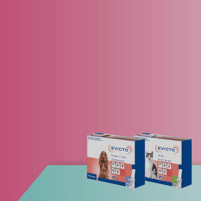 Vet Supplies Online | Vet Products Direct Australia