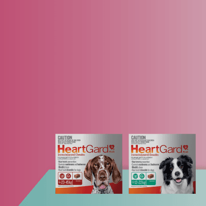 Vet Supplies Online | Vet Products Direct Australia