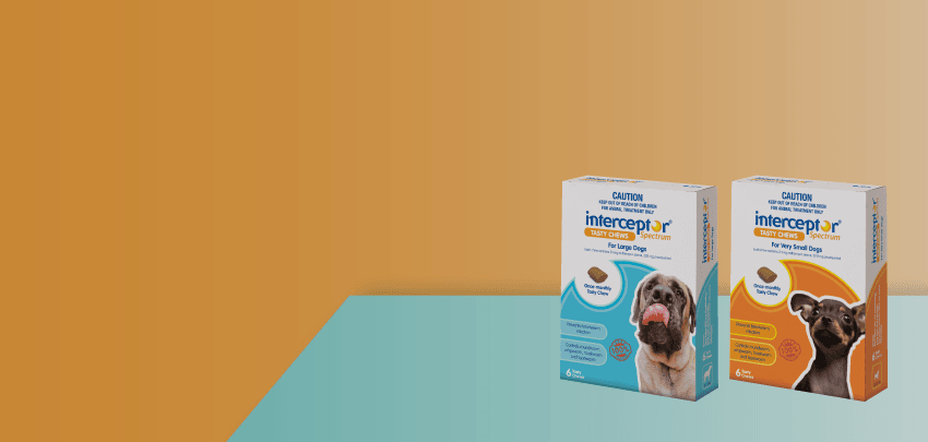 Vet Supplies Online | Vet Products Direct Australia