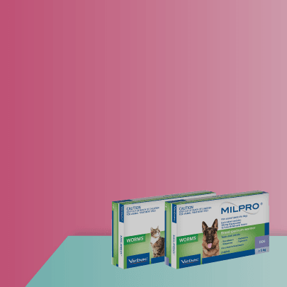 Vet Supplies Online | Vet Products Direct Australia