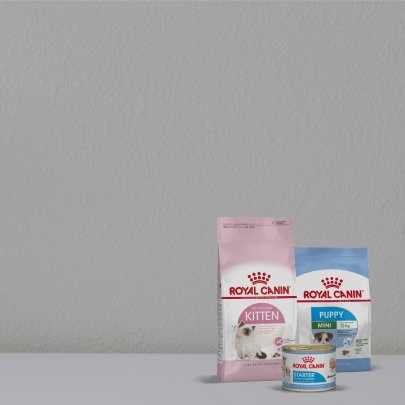 Vet Supplies Online | Vet Products Direct Australia